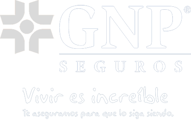 GNP Seguros | Griselda Gutiérrez